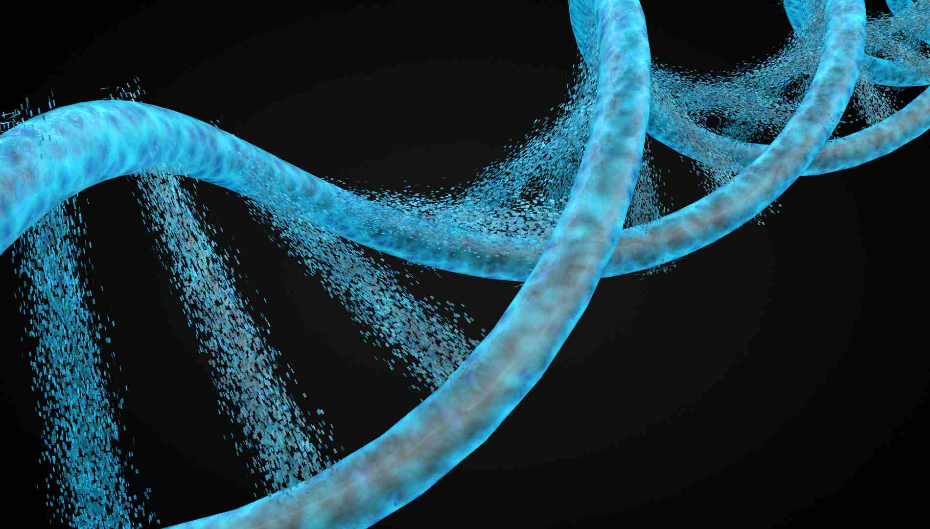 El secreto de tu ADN: cómo funciona la enciclopedia de la vida